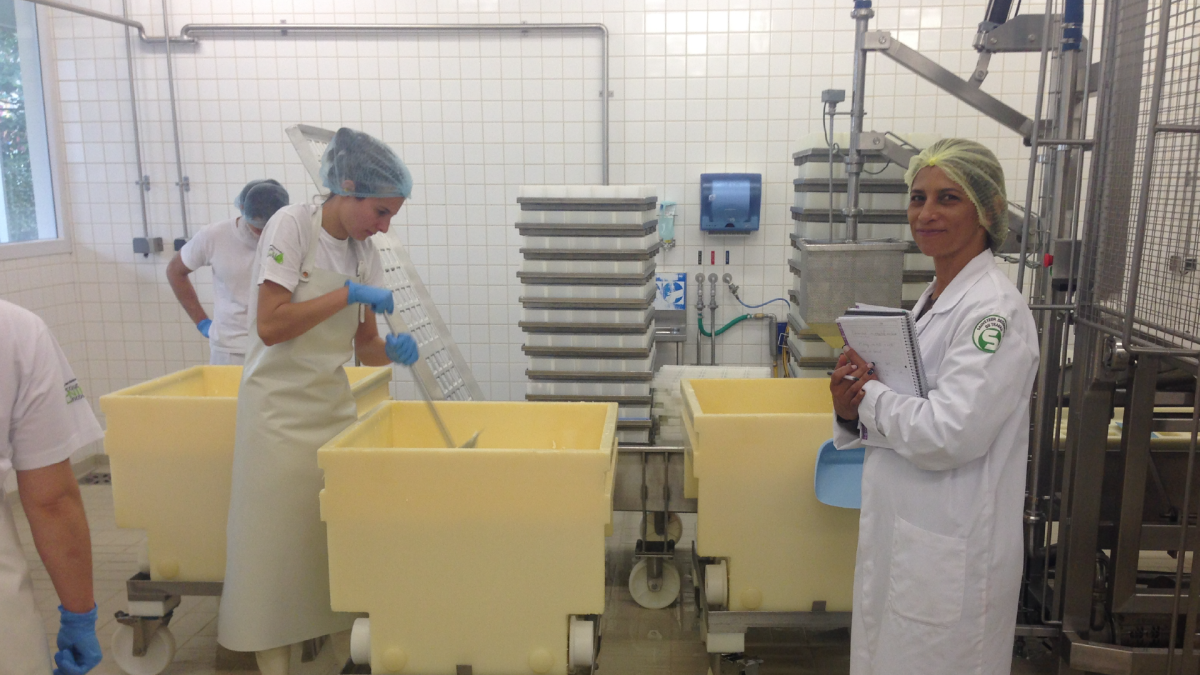 Unveiling the cheesy secrets of Santa Cruz, Turrialba. – Costa Rica ...