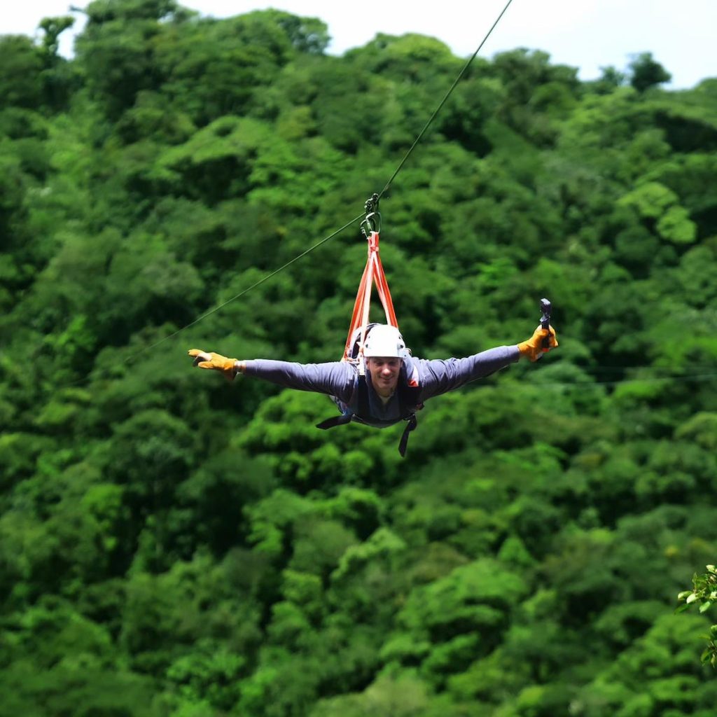 Monteverde Cloud Forest: A Complete Guide for Nature Lovers - Costa ...