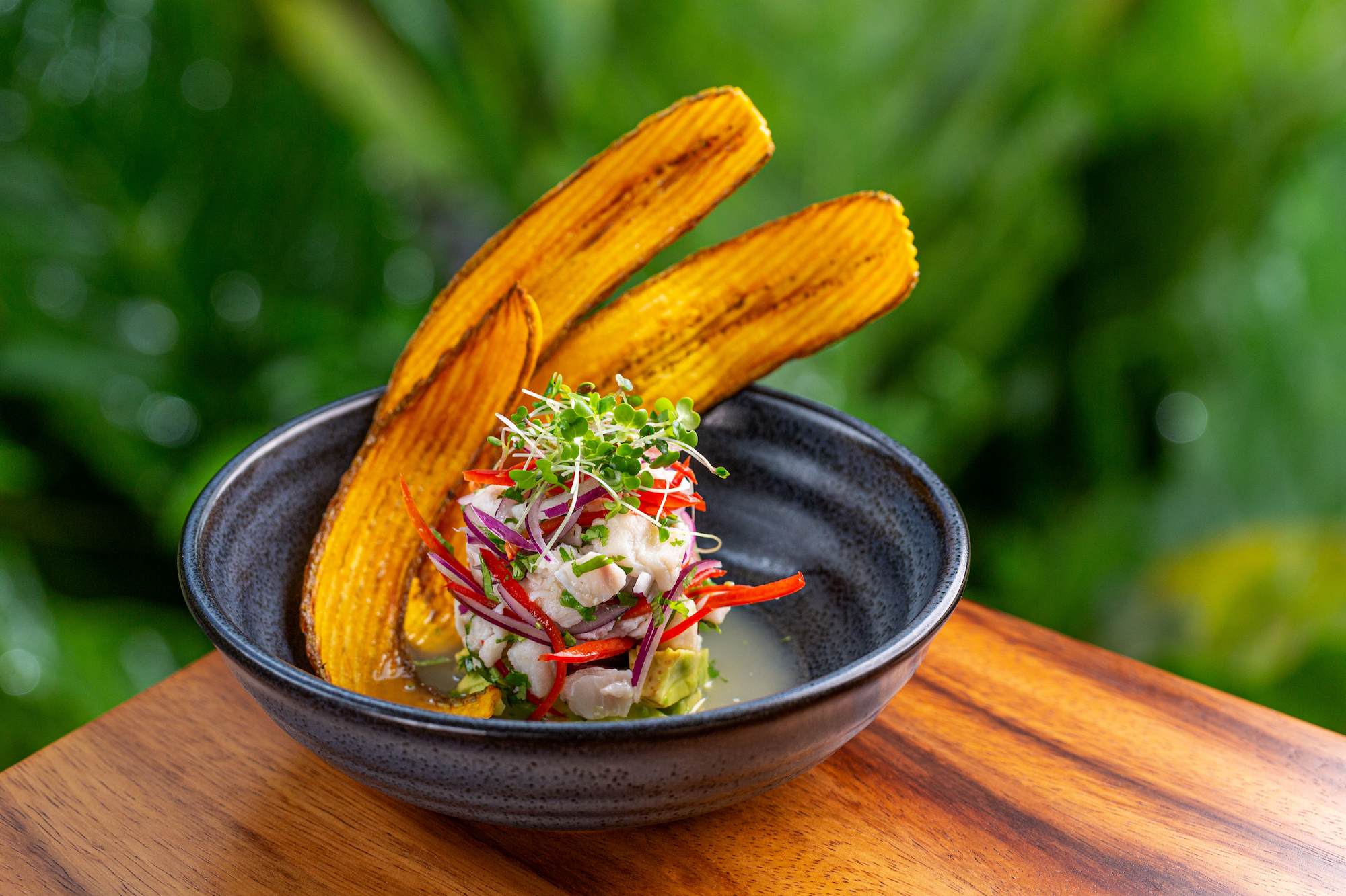 Tabacon Thermal Resort & Spa- La Fortuna, Arenal