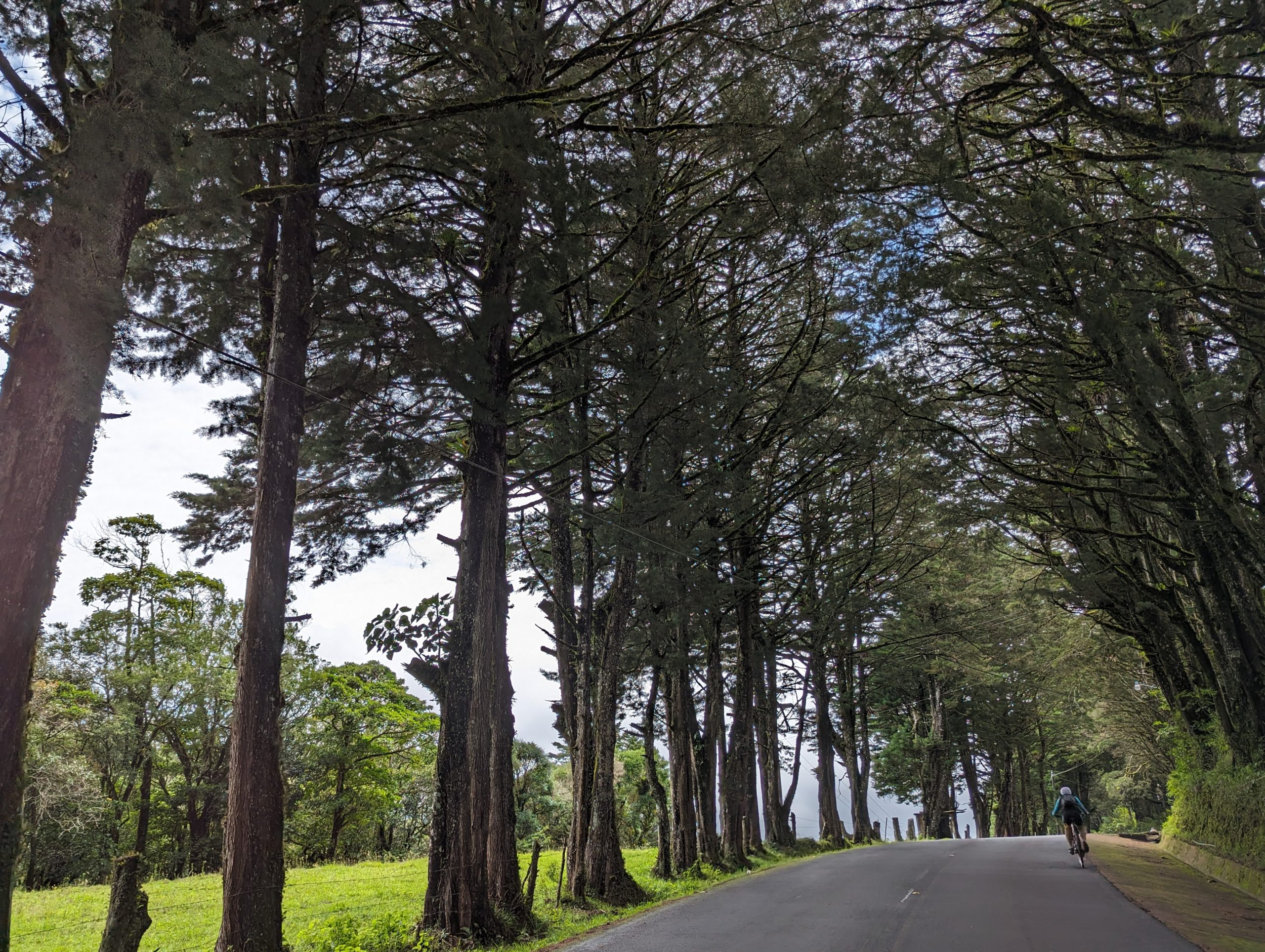 Alajuela Costa Rica- Things to do in Alajuela - Enjoy Costa Rica