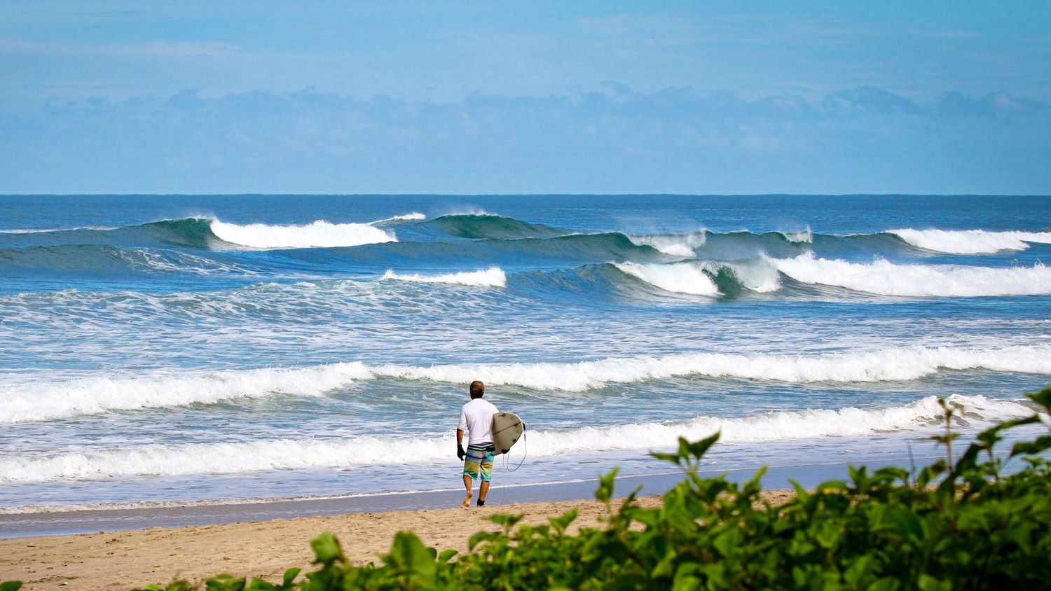 Nosara Costa Rica- Things to do in Nosara - Enjoy Costa Rica