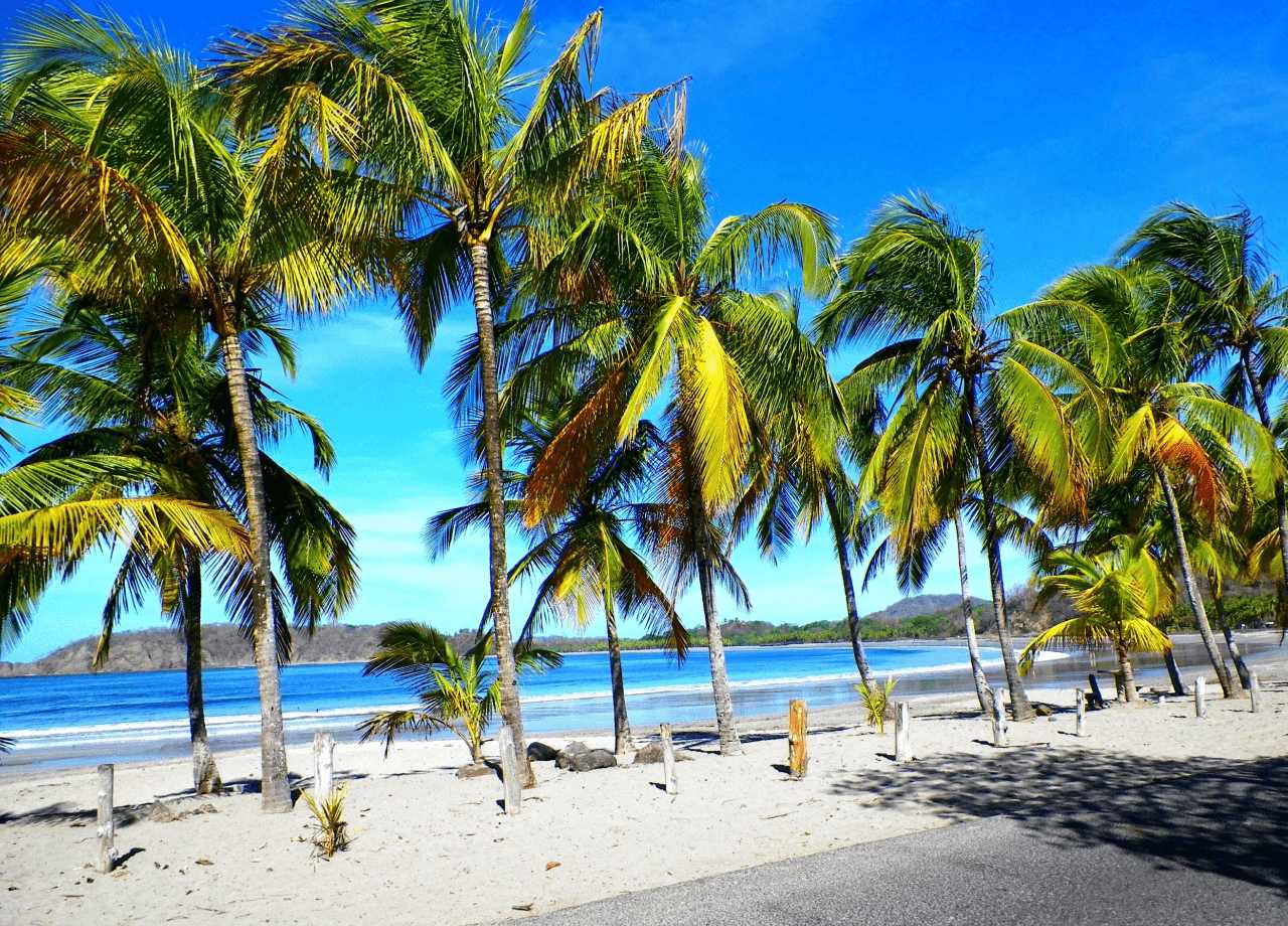 Samara Costa Rica - Things to do in Samara - Enjoy Costa Rica