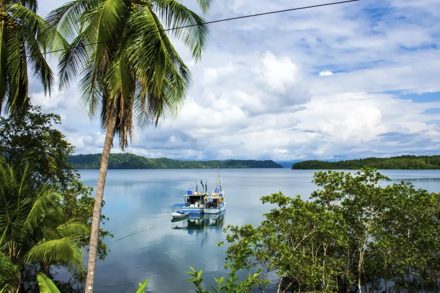 Puerto Jimenez Costa Rica - Things to do in Puerto Jimenez