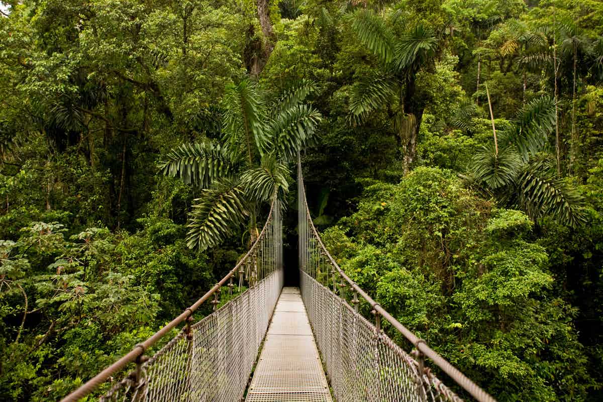 Arenal Hanging Bridges- Discover Costa Rica - Half Day Tour