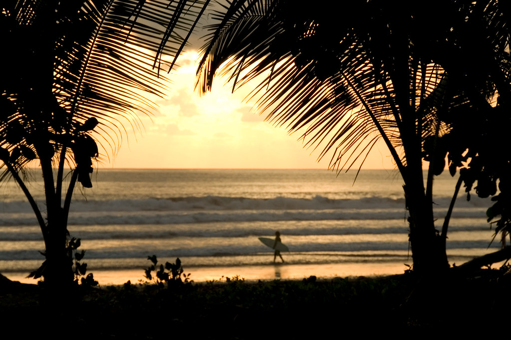 Dominical Costa Rica - Things to do in Dominical - Enjoy Costa Rica